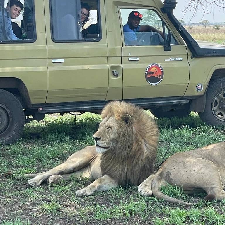 ASHU WILDLIFE SAFARI | Tour Operator | NoMiddleman Tours